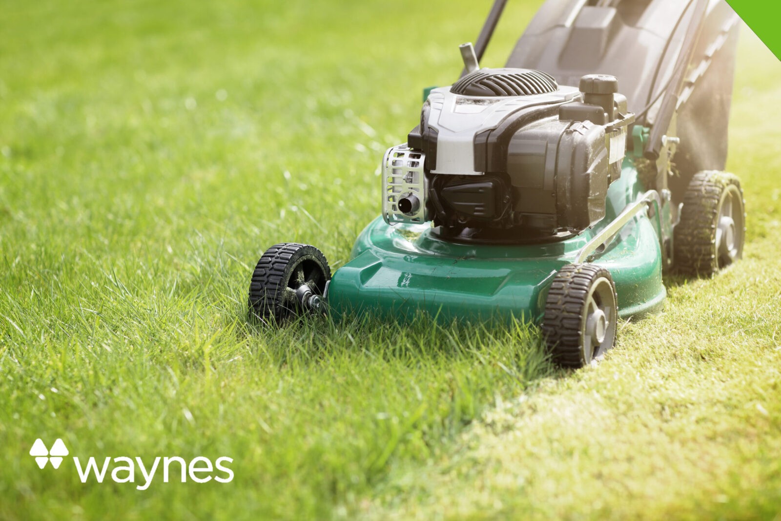 The Benefits of Scalping Your Lawn This Spring